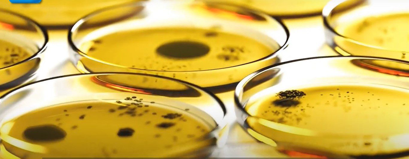 Swab Analysis In Microbiology MB 053 » Flair Pharma The Knowledge Kit.