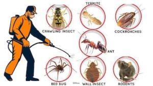 Pest Control In Pharma Industry » Flair Pharma The Knowledge Kit.
