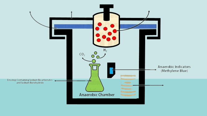 SOP For Operation And Cleaning Of Anaerobic Jar In Microbiology » Flair ...