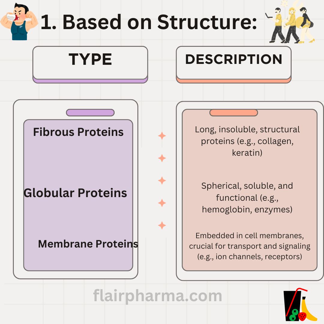 Proteins Classification, General Characteristics ,biological Importance ...