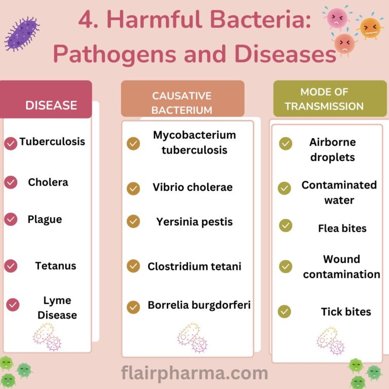 Classifications Of Bacteria » Flair Pharma The Knowledge Kit.