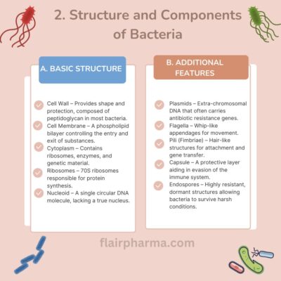 Classifications Of Bacteria » Flair Pharma The Knowledge Kit.