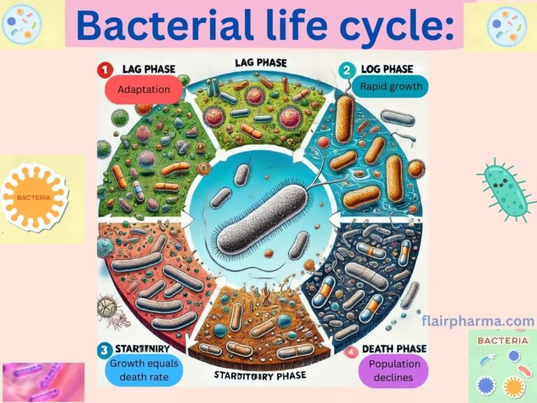 Classifications Of Bacteria » Flair Pharma The Knowledge Kit.