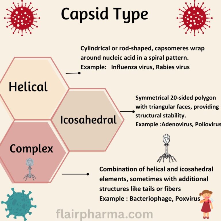 Structure Of Viruses » Flair Pharma The Knowledge Kit.